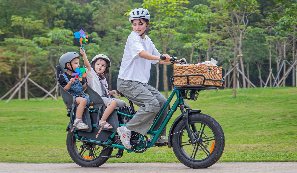 Fiido T2 Ultimate Cargo Ebike Guide