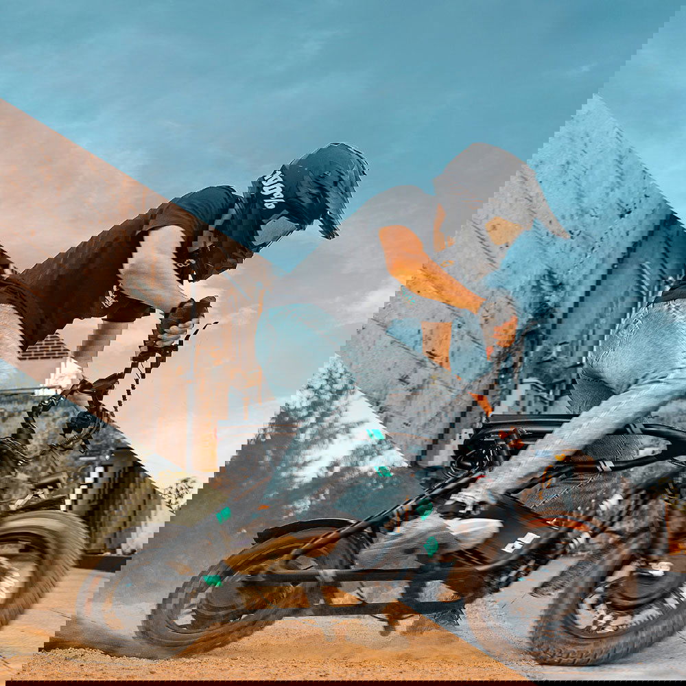 Fiido Q2 - Dual-motor Electric Scooter with Seat