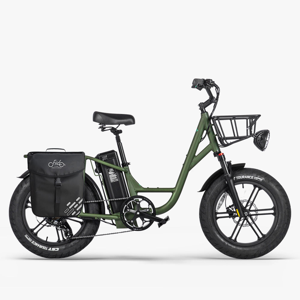 Fiido T1 Pro: Powerful Electric Cargo Bike with Fat Tires
