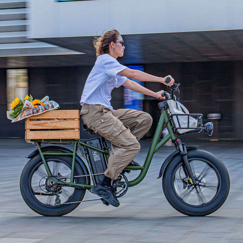 Fiido T1 Pro: Powerful Electric Cargo Bike with Fat Tires